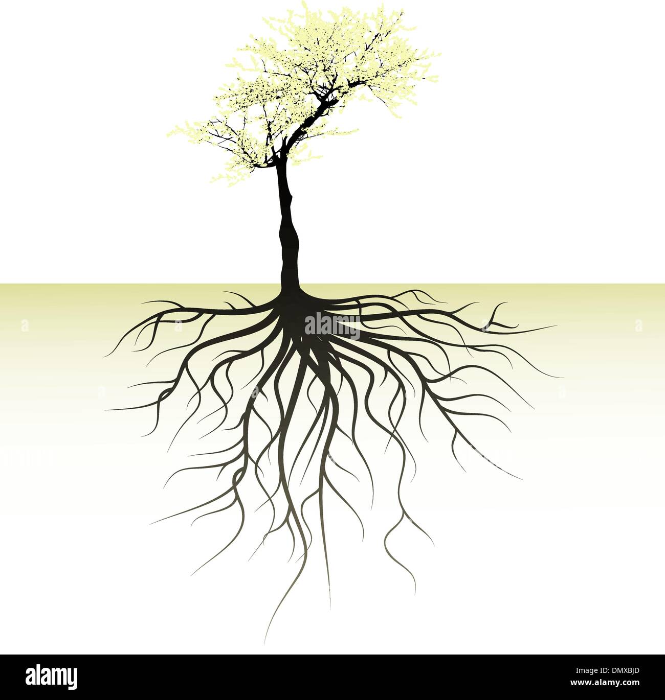 Blooming tree vector vectors hi-res stock photography and images - Alamy