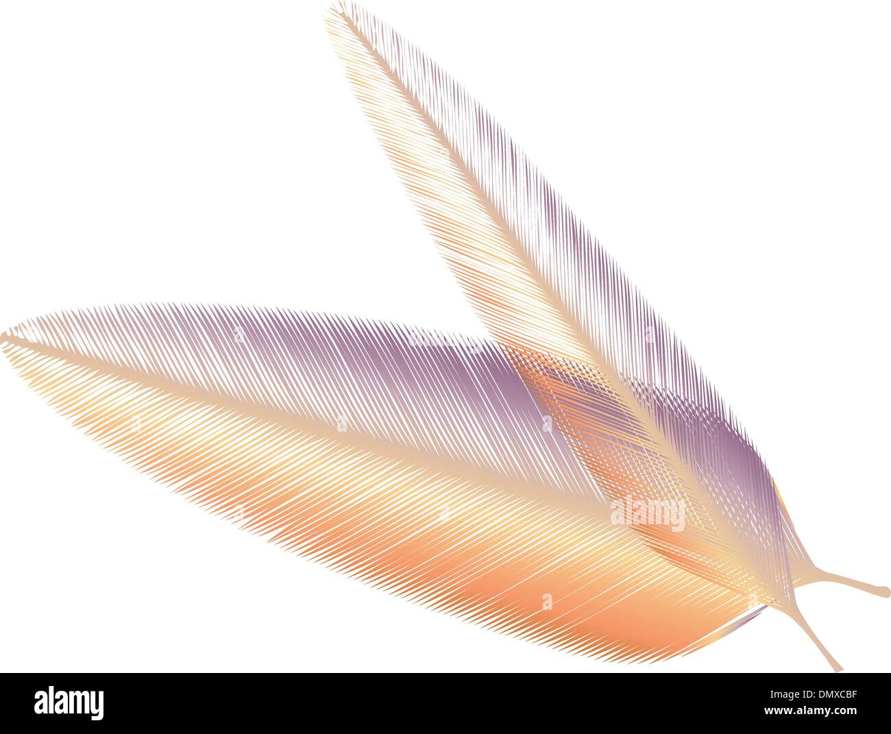 Feathers color Stock Vector Images - Alamy