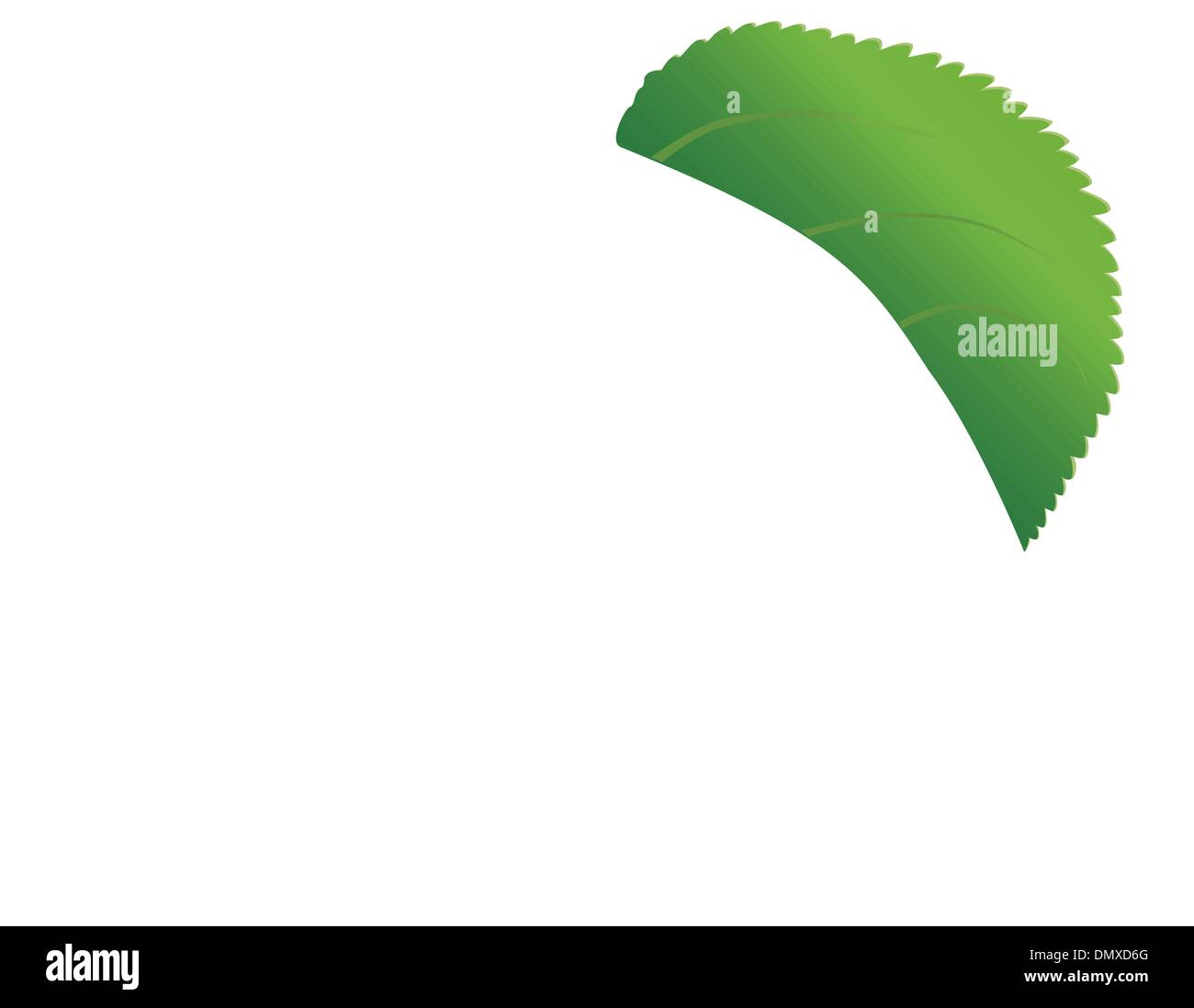 One ripe apple Stock Vector Images - Alamy