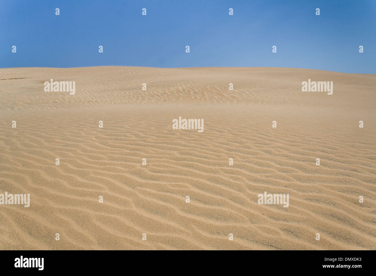 Sand dune of desert in southern Madagascar Stock Photo - Alamy