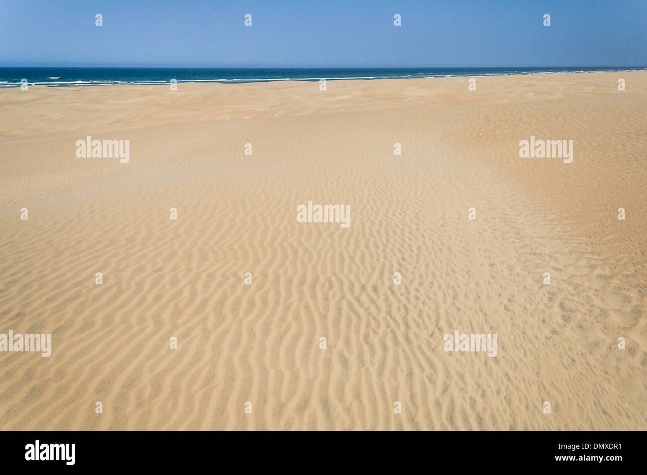 Madagascar desert in south hi-res stock photography and images - Alamy