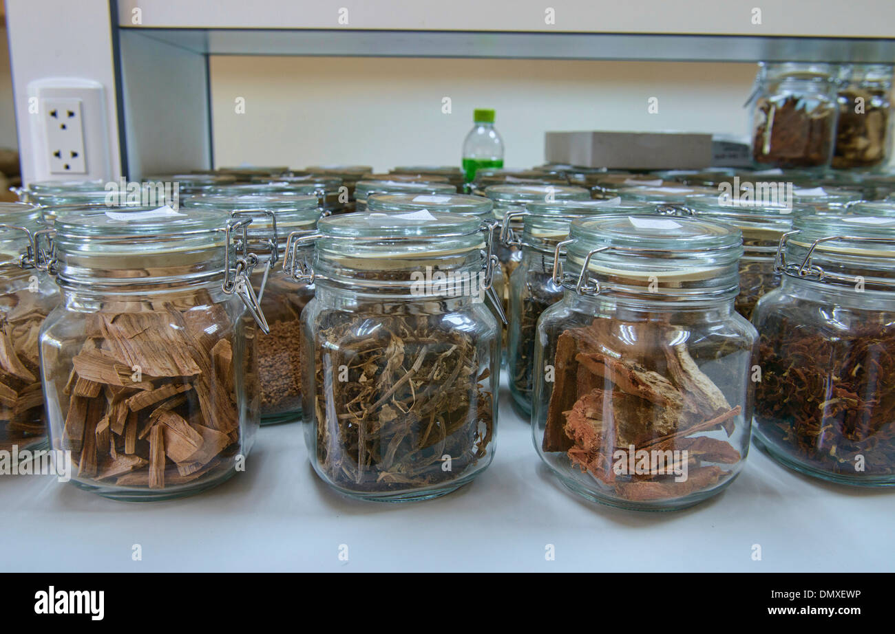 herbs at a traditional Thai medicine clinic in Bangkok, Thailand Stock ...