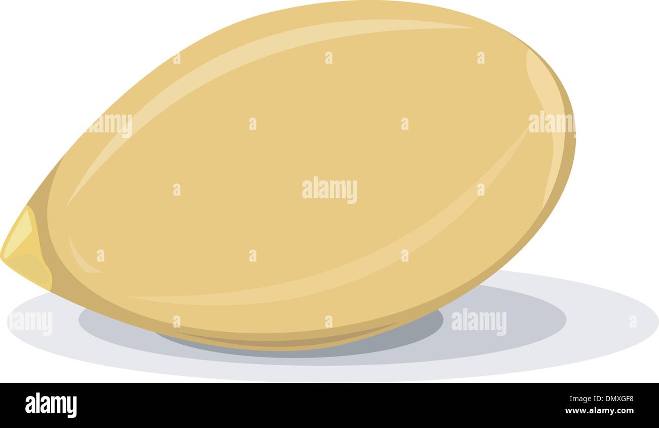 Grain cereal. vector Stock Vector Image & Art - Alamy