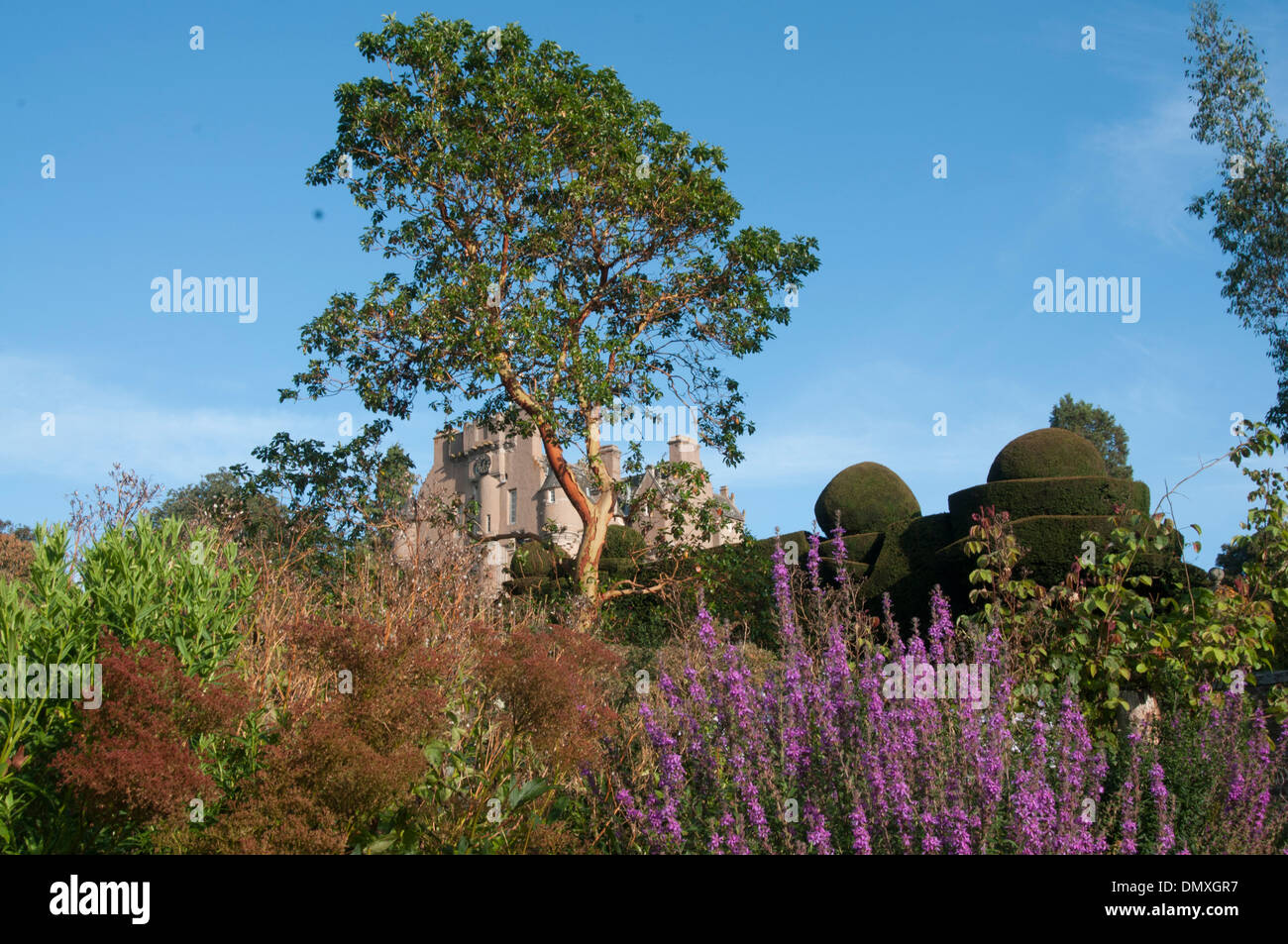 Turrets of flowers hi-res stock photography and images - Alamy