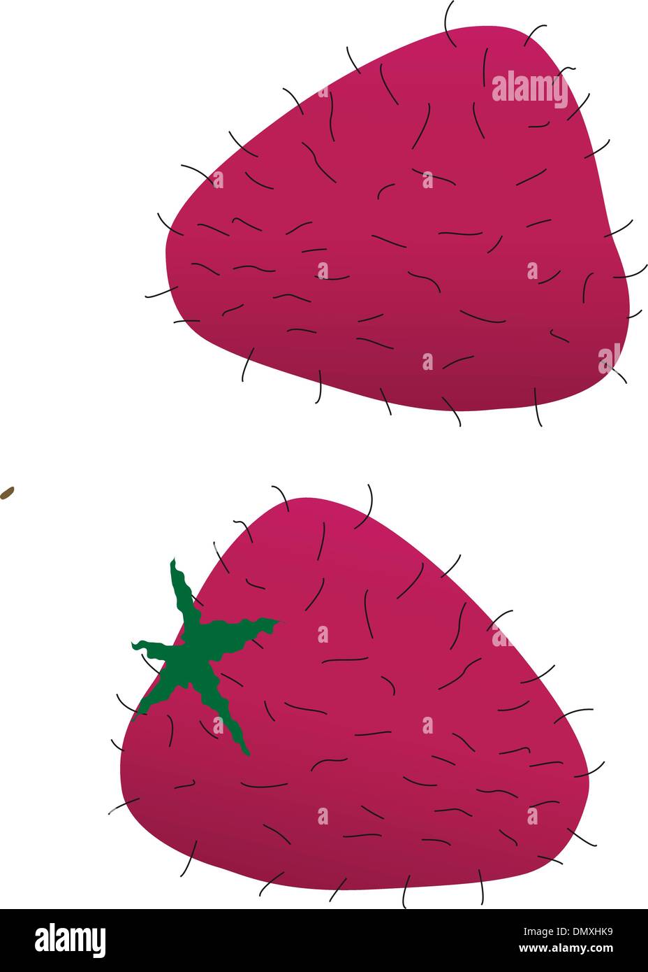 Raspberry drawing hi-res stock photography and images - Alamy