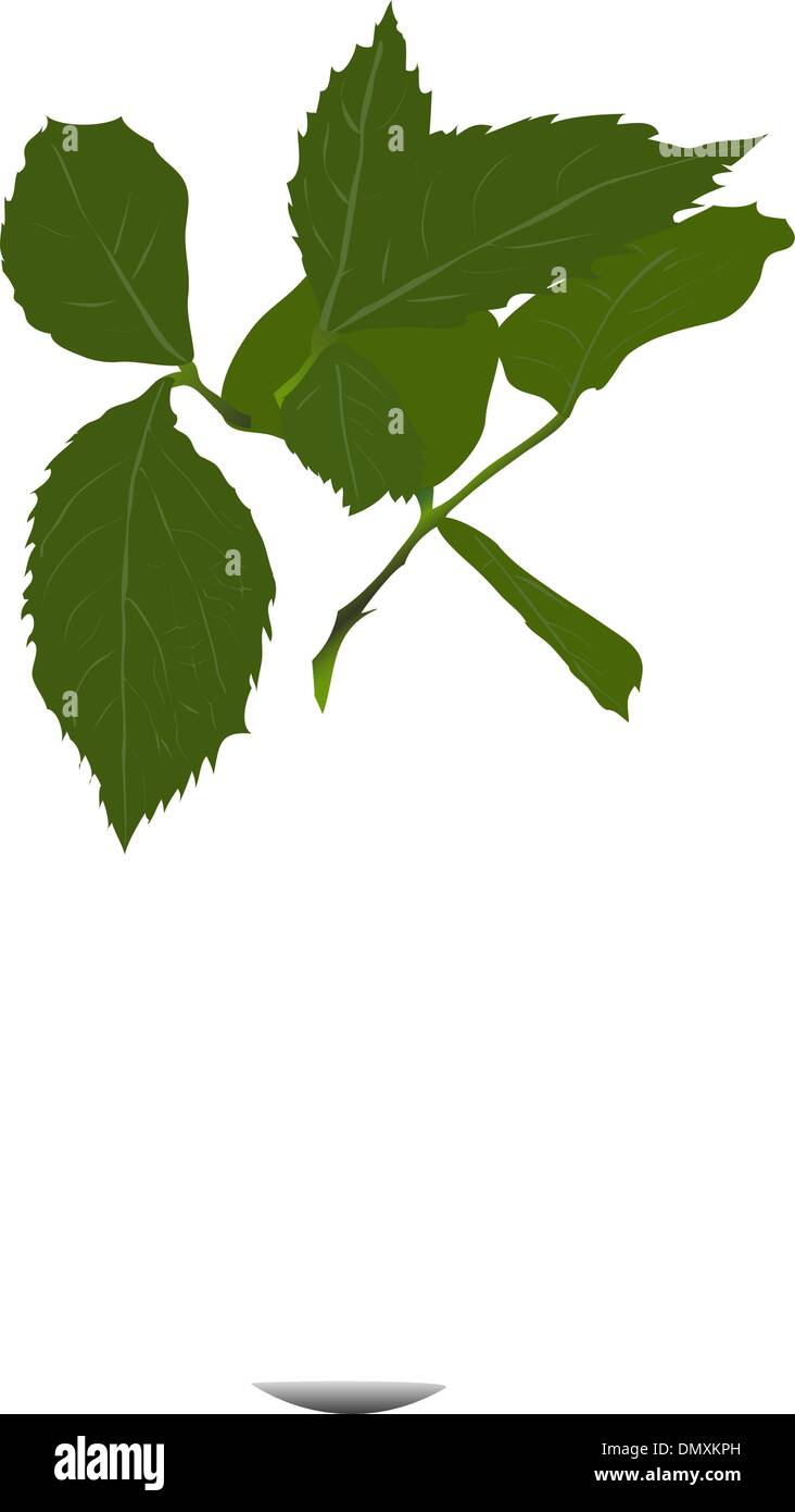 Red rose in a bulb Stock Vector Image & Art - Alamy