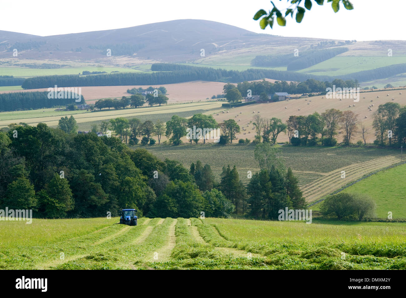 Scottish countryside hi-res stock photography and images - Alamy