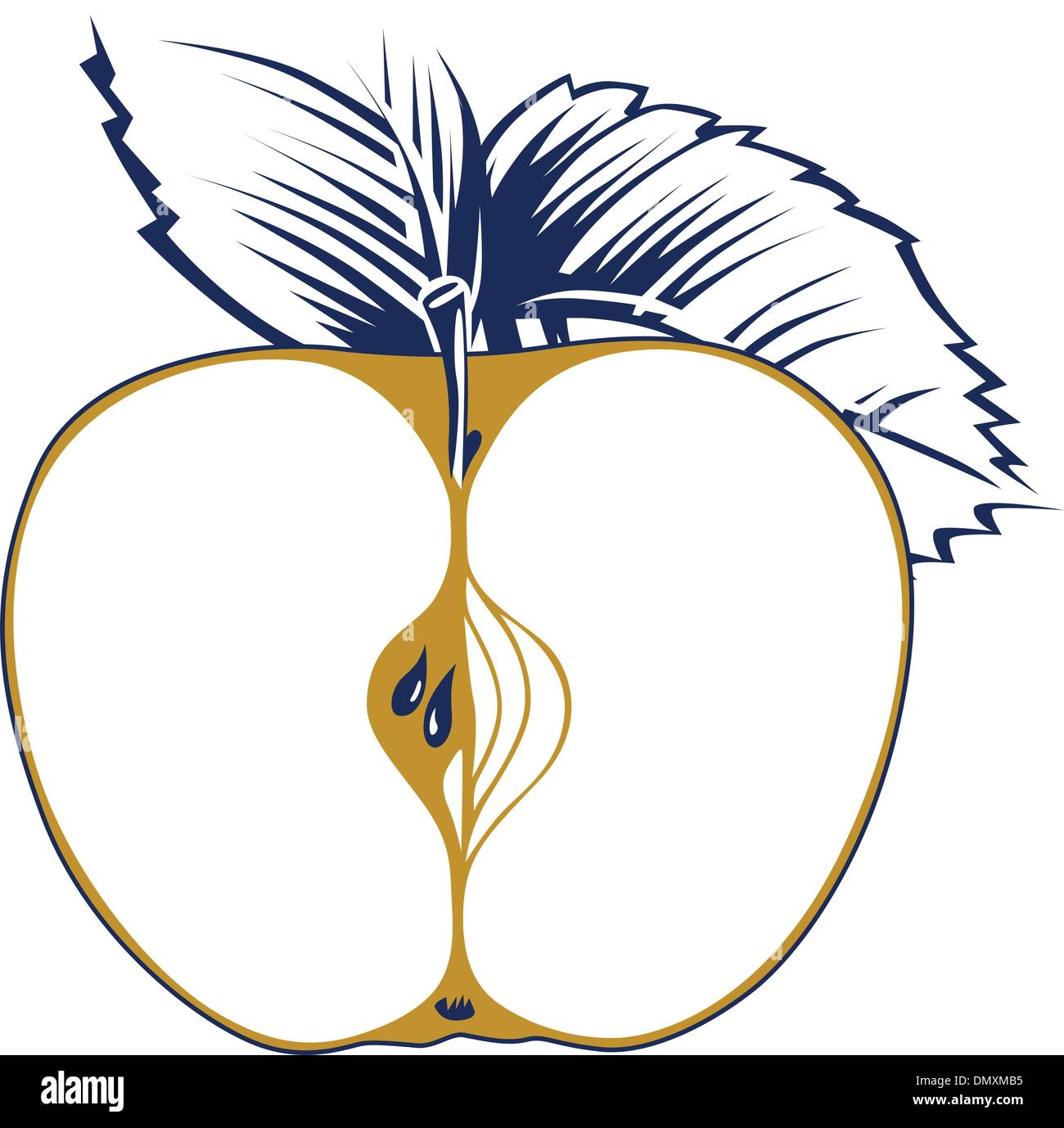 Seed Stock Vector Images - Alamy