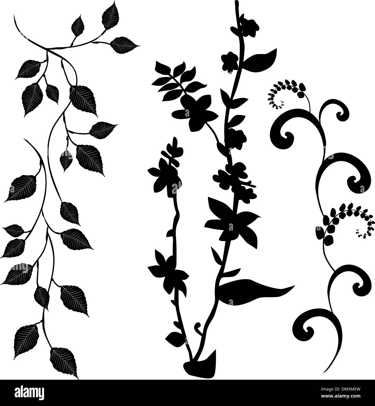 Collection for designers, plant vector set Stock Vector Image & Art - Alamy