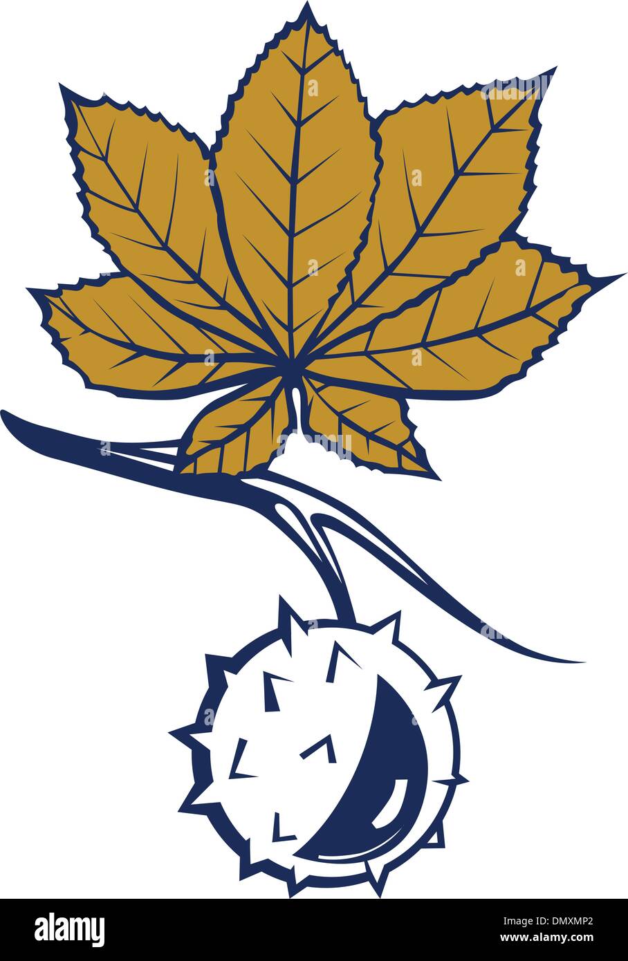 Conker leaves Stock Vector Images - Alamy