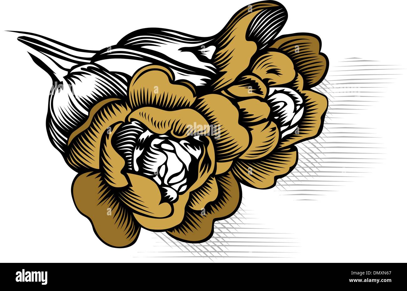 Rose summer gold Stock Vector Images - Alamy