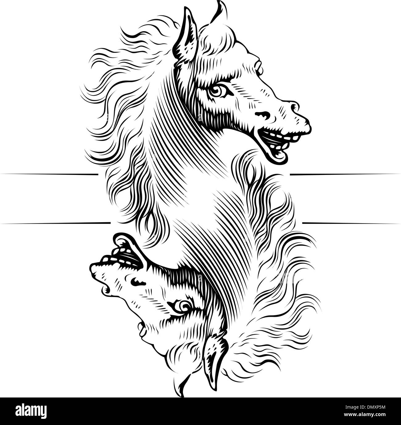 Portrait arabian horse mare Cut Out Stock Images & Pictures - Alamy