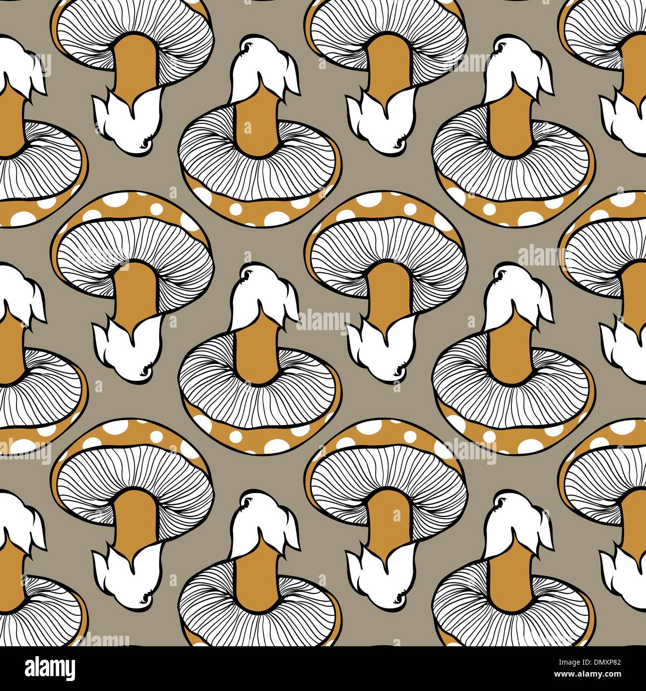 Autumn white toadstool mushroom Stock Vector Images - Alamy