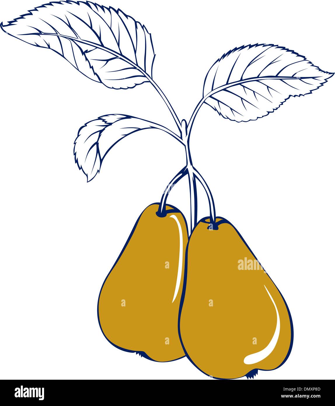 Pear honey Stock Vector Images - Alamy