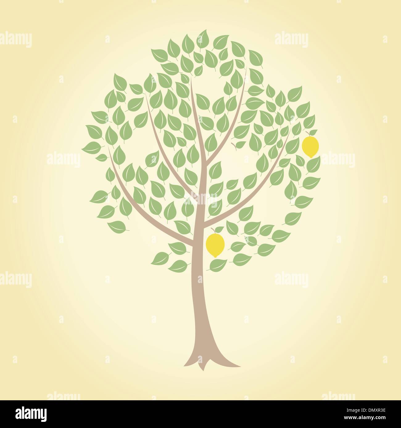 Wild lemon tree Stock Vector Images - Alamy