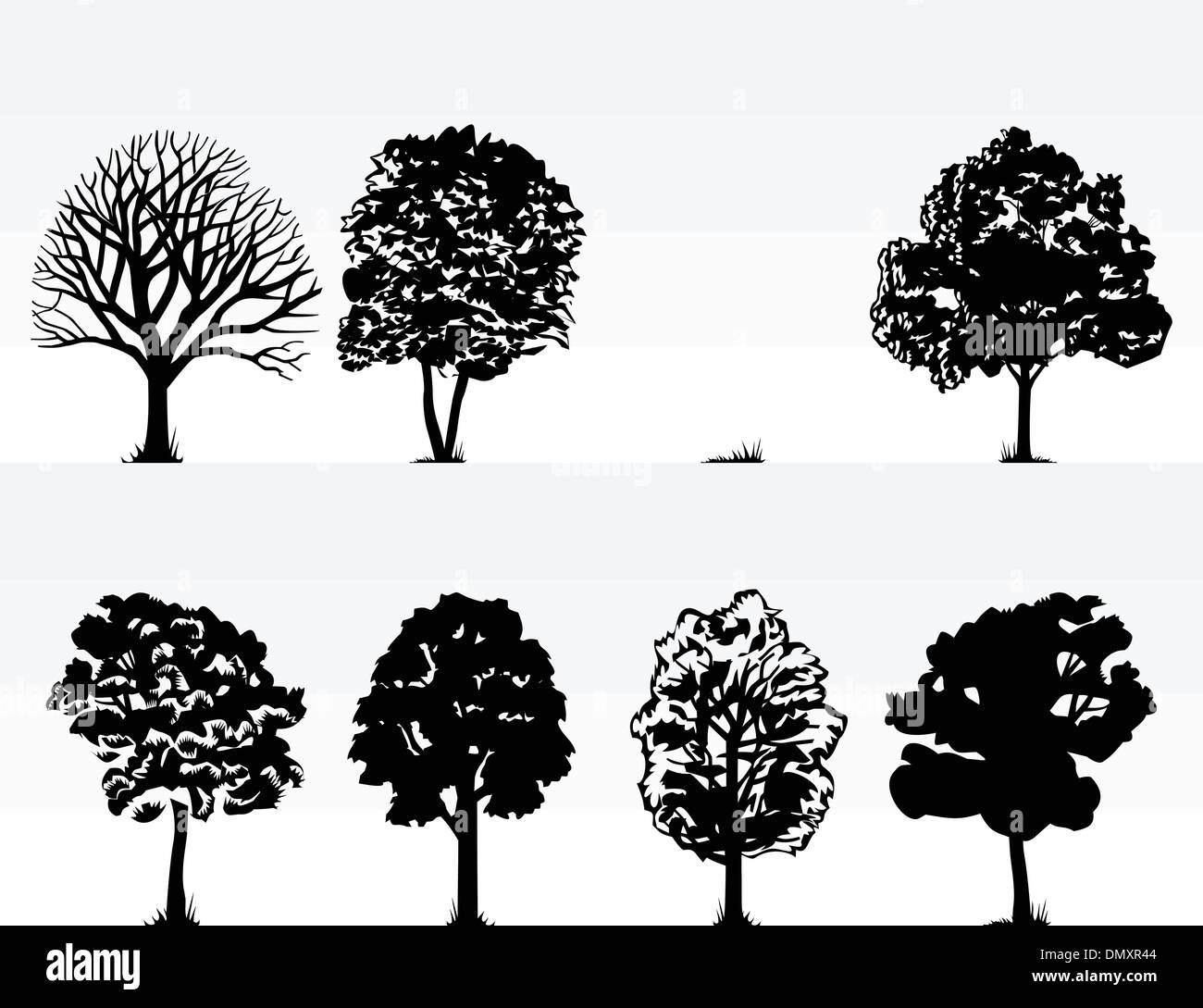 Crone of tree Stock Vector Images - Alamy