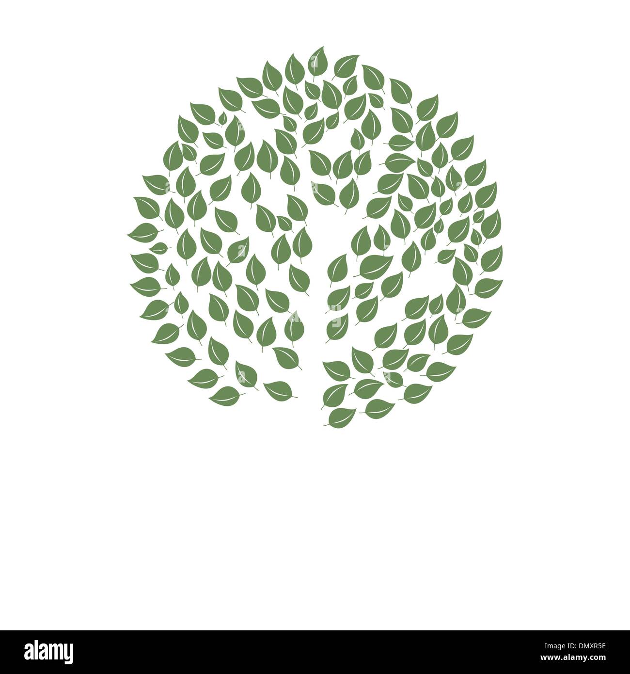 Acacia tree flower Stock Vector Images - Alamy