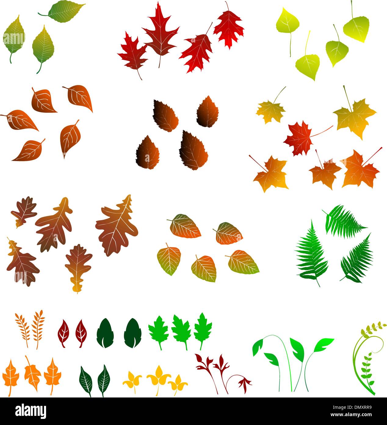 Leaf, collection for designers Stock Vector Image & Art - Alamy