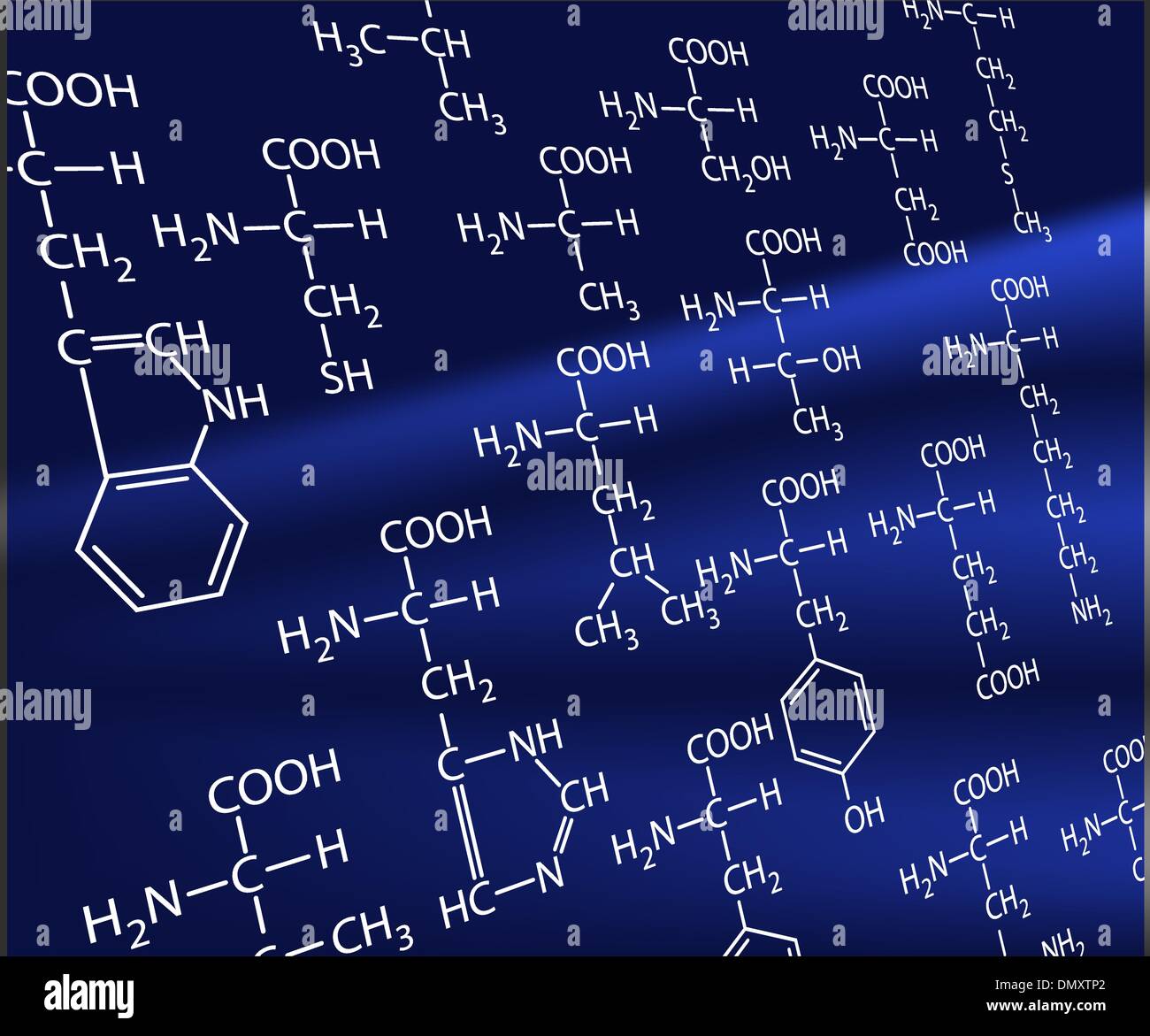 Amino acids hi-res stock photography and images - Alamy Amino acids hi-res stock photography and images - Alamy