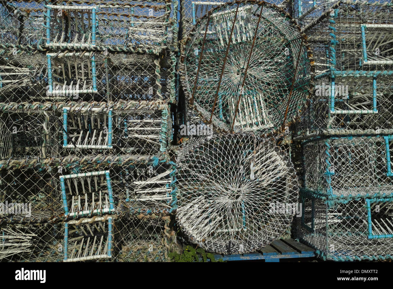 Lobster nets hi-res stock photography and images - Alamy