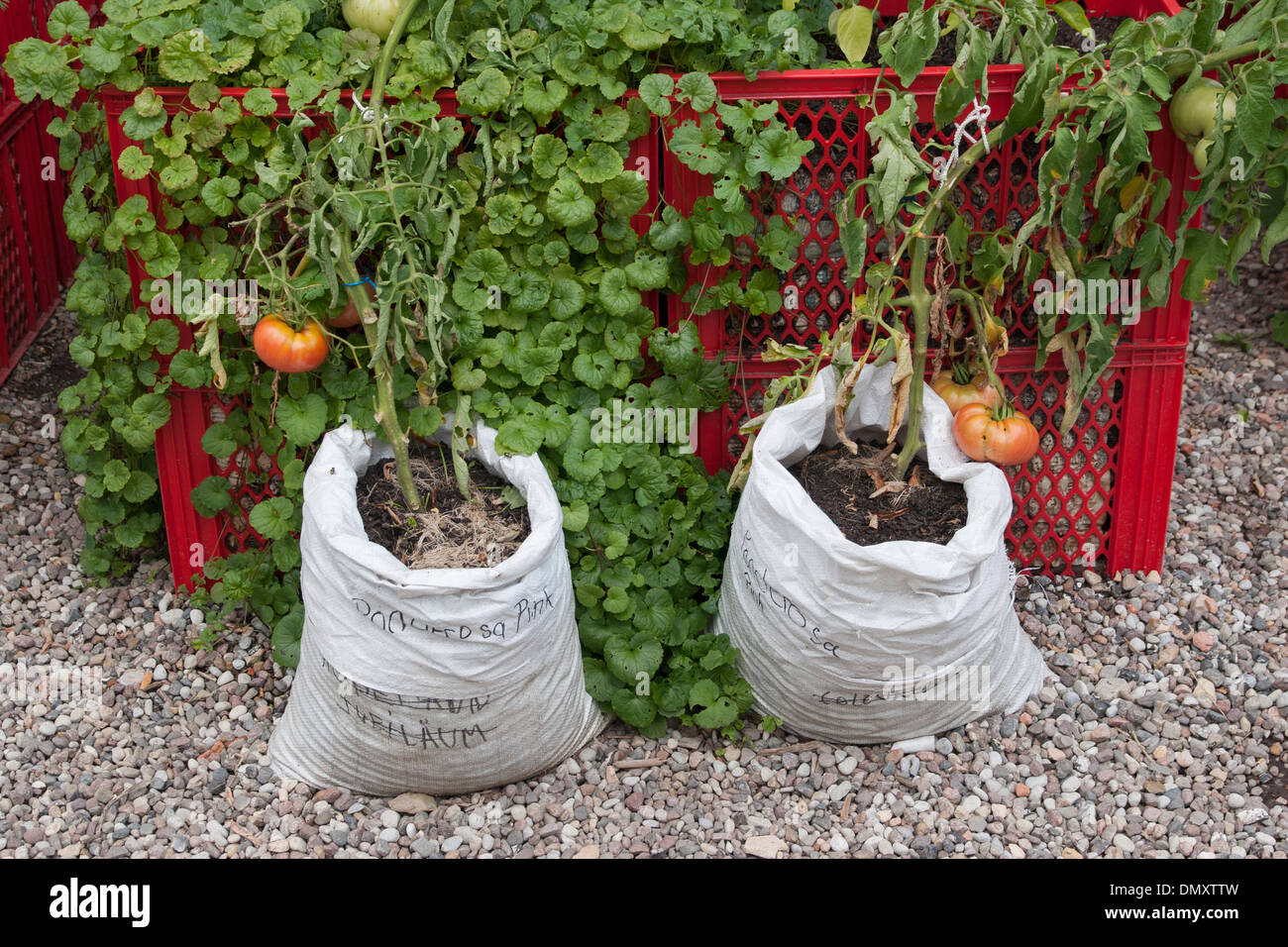 Prinzessinnengaerten hi-res stock photography and images - Alamy