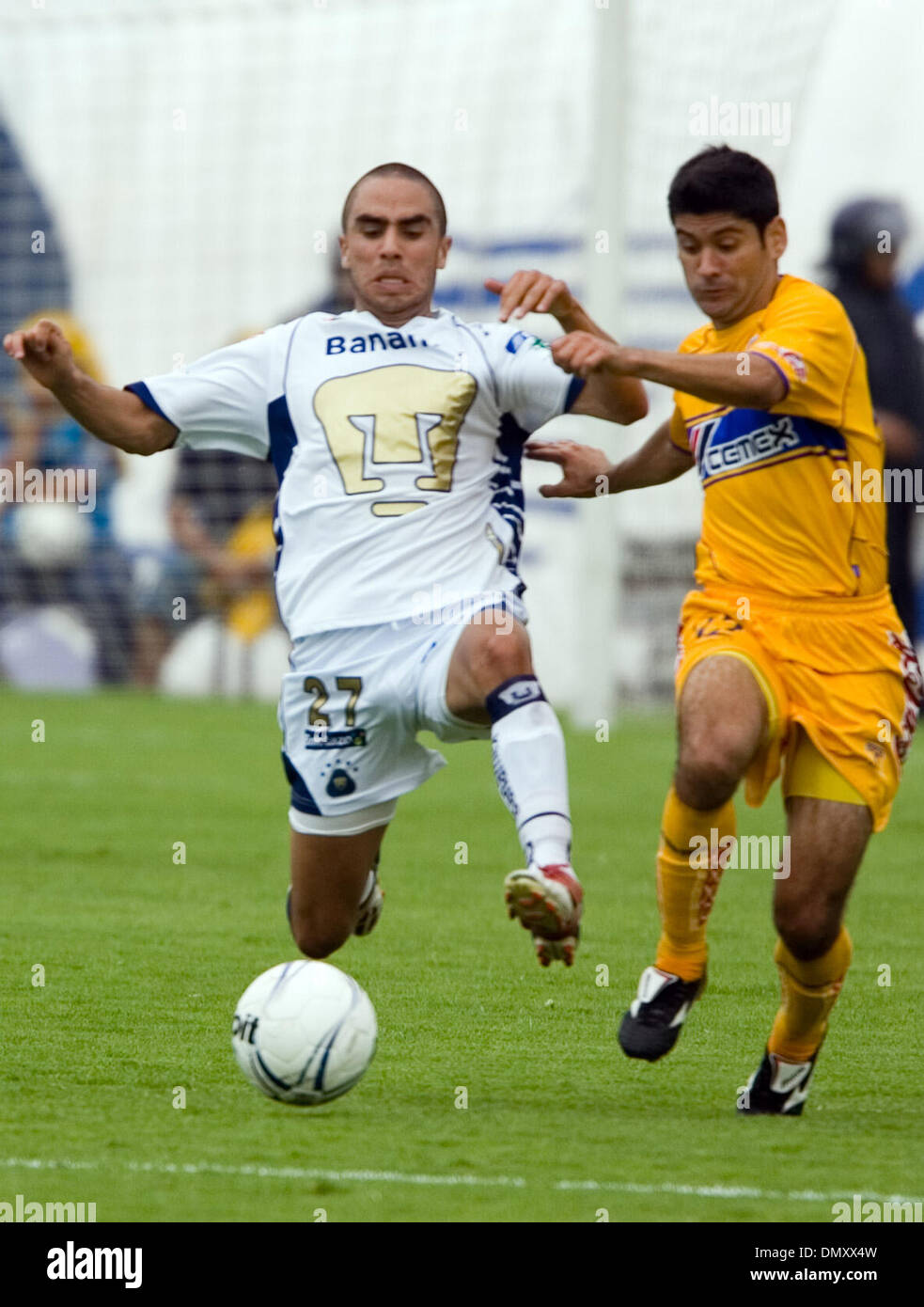 Fernando saavedra hi-res stock photography and images - Alamy