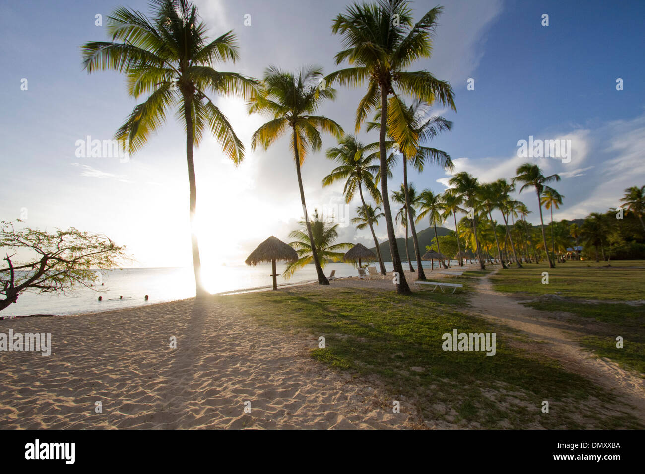 Martinique beach hi-res stock photography and images - Alamy