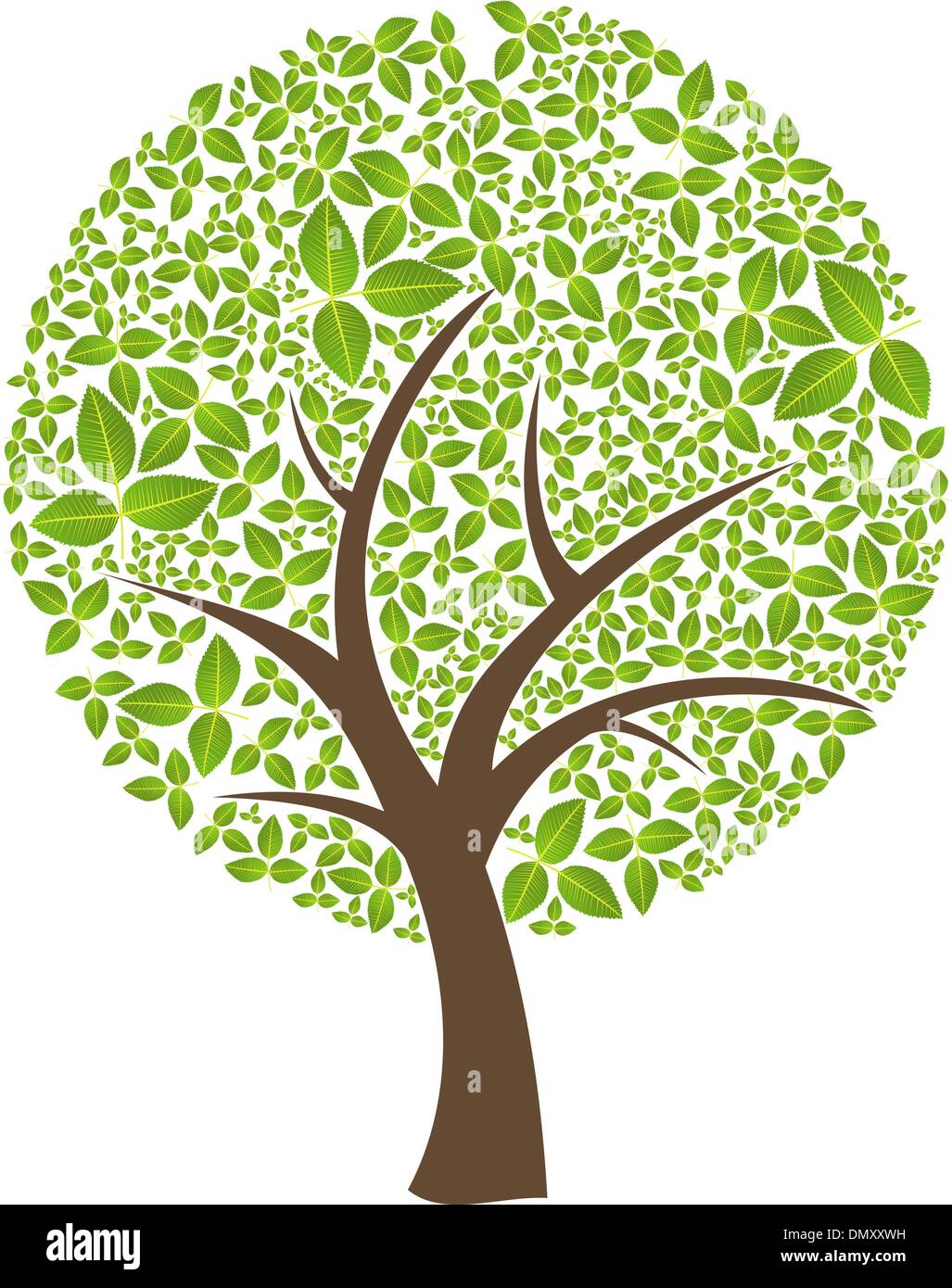 Isolated Abstract Leaf Spring Time Tree Stock Vector Image And Art Alamy