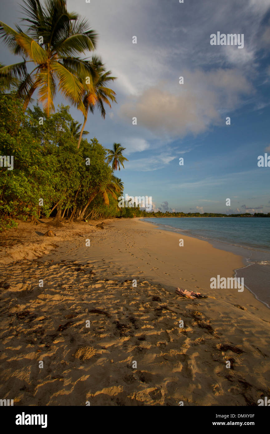 Martinique beautiful beach hi-res stock photography and images - Alamy