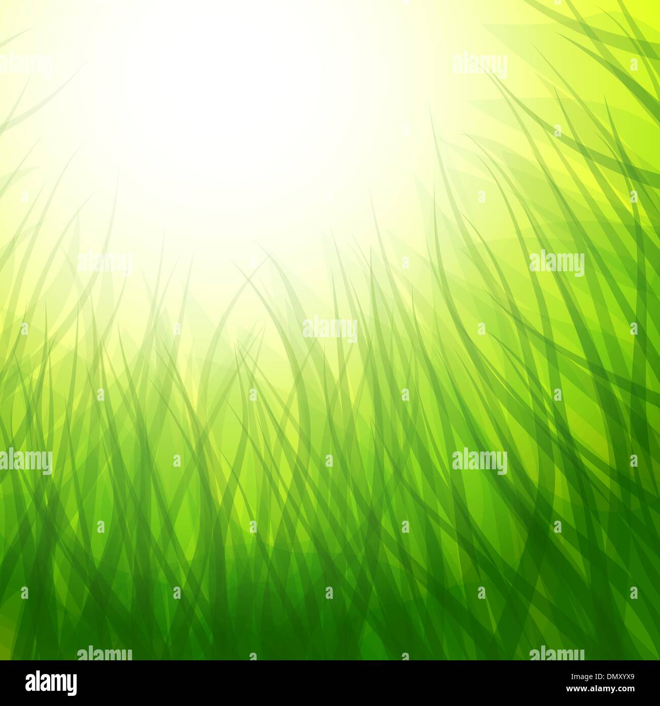 Green grass field clear Stock Vector Images - Alamy