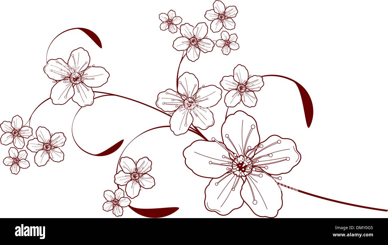 Cherry blossom design Stock Vector Image & Art - Alamy