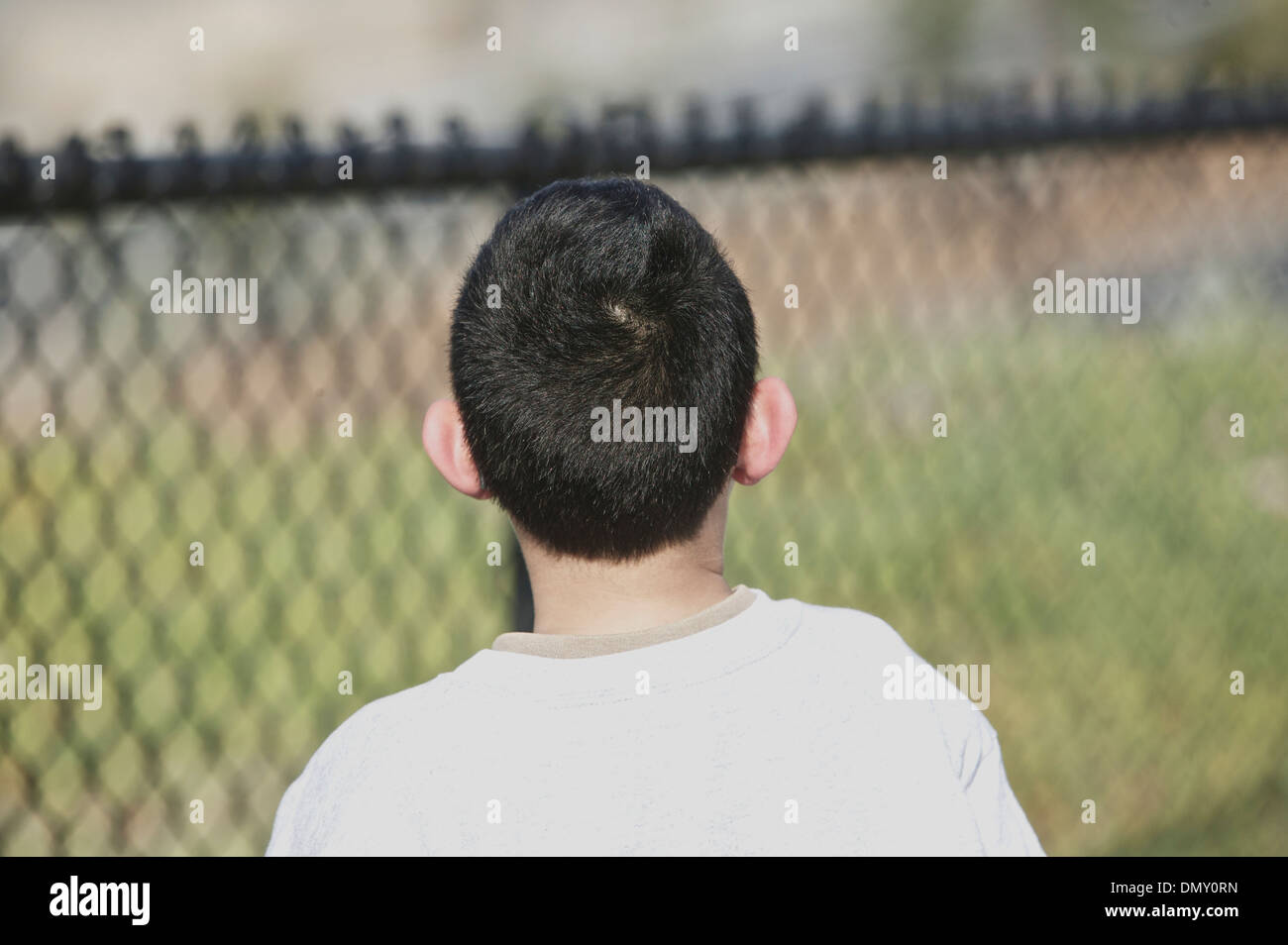 Ears back hi-res stock photography and images - Alamy