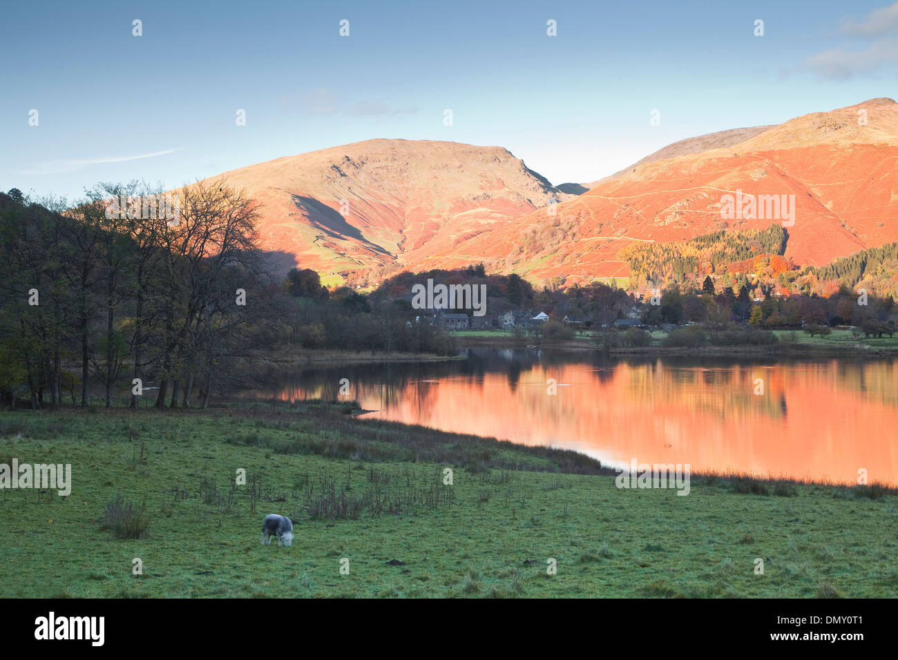 Autumn colours reflected into Grasmere lake in the Lake District ...