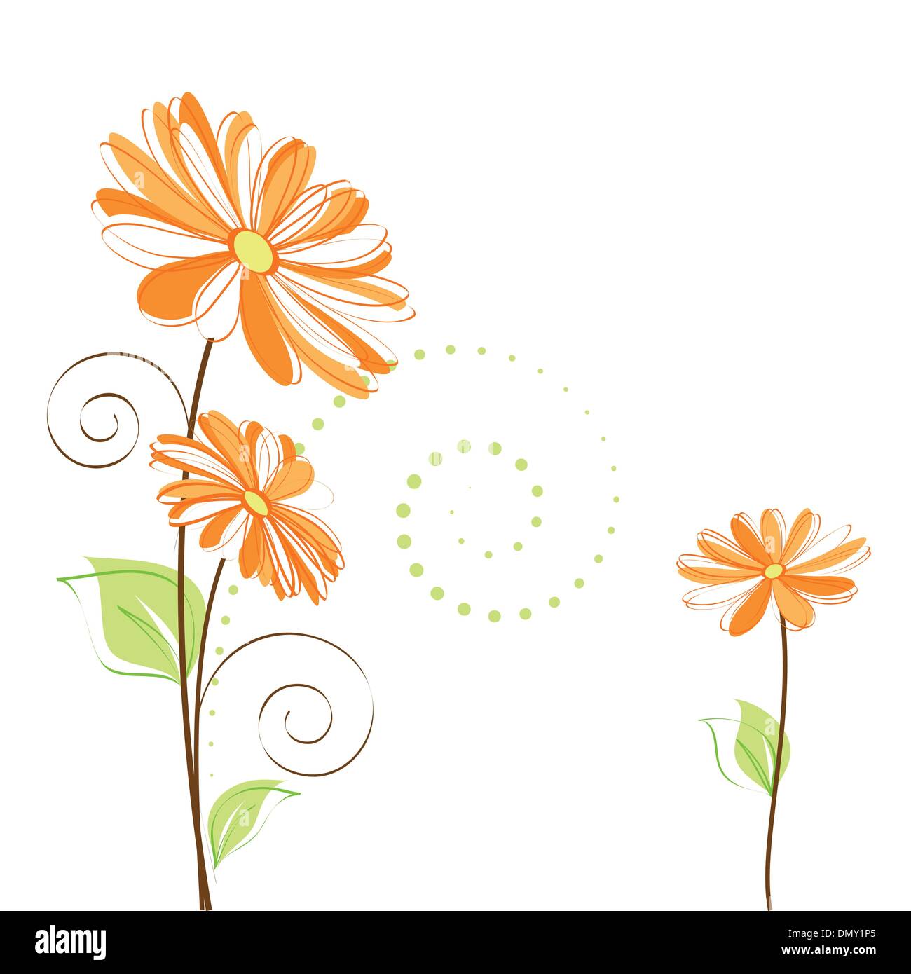 Springtime colorful Daisy flower on white background Stock Vector Image ...