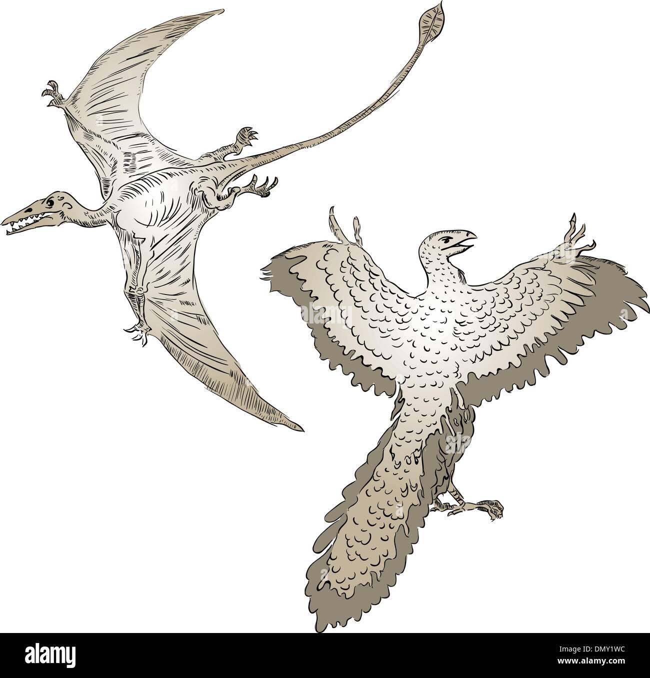 Pterodactyl High Resolution Stock Photography and Images - Alamy