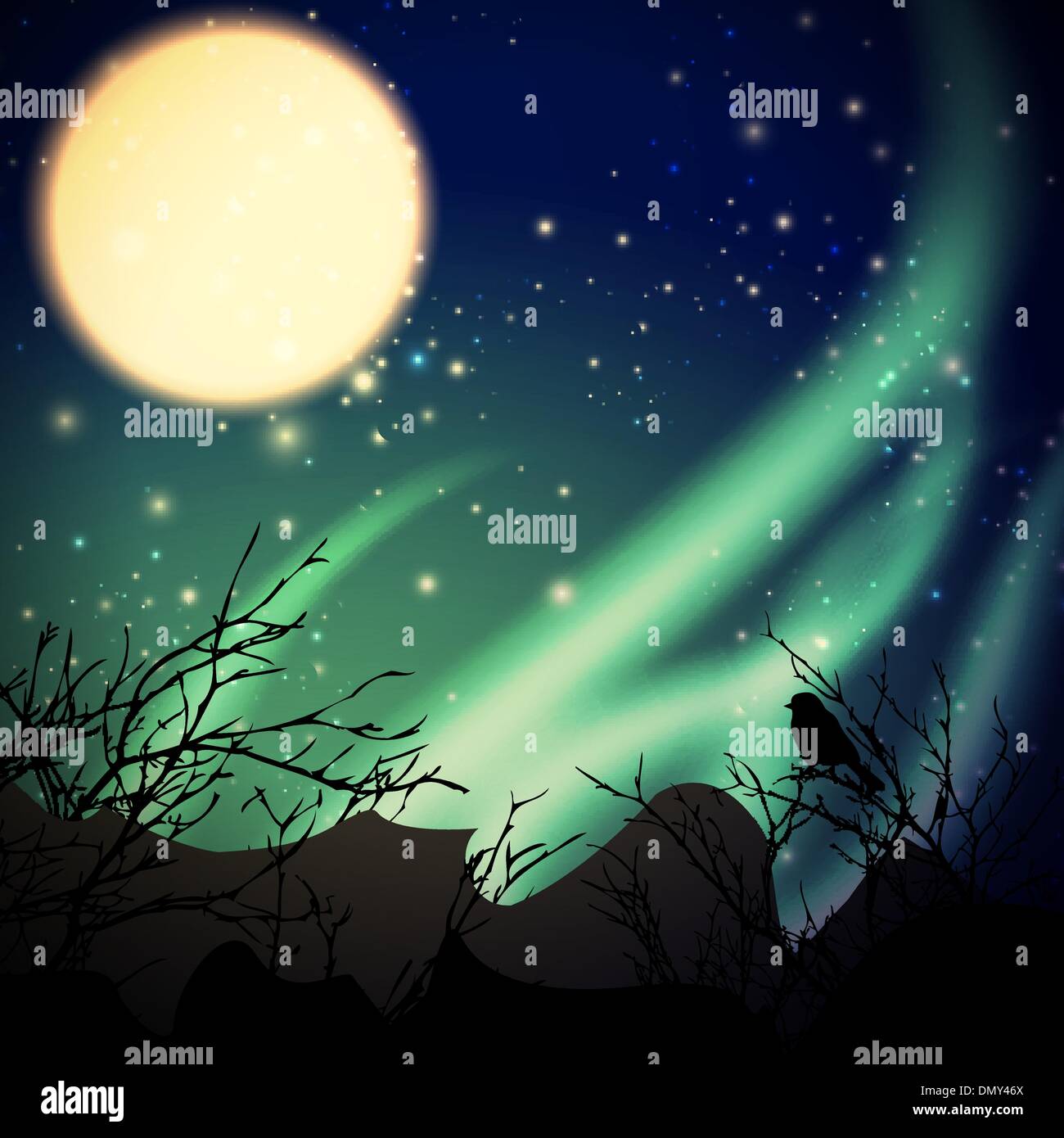 Stars northern lights Stock Vector Images - Alamy