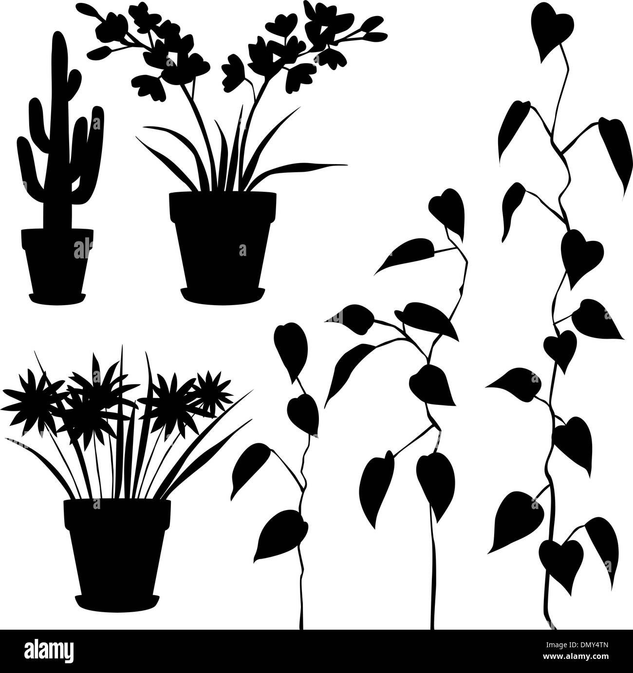 collection, for designers, plant vector Stock Vector Image & Art - Alamy