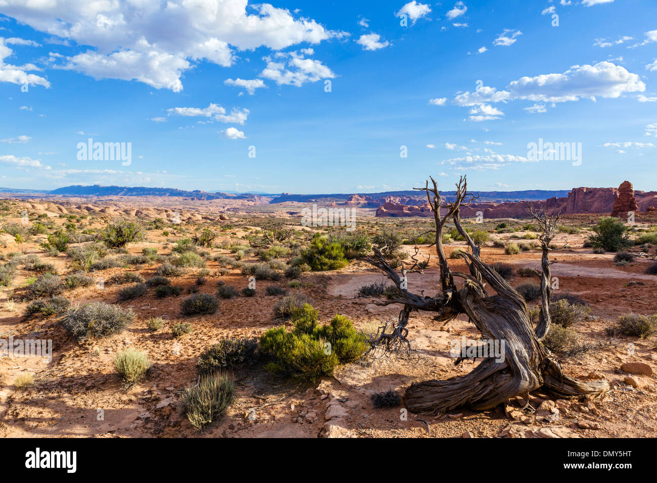 Petrified rock park hi-res stock photography and images - Alamy
