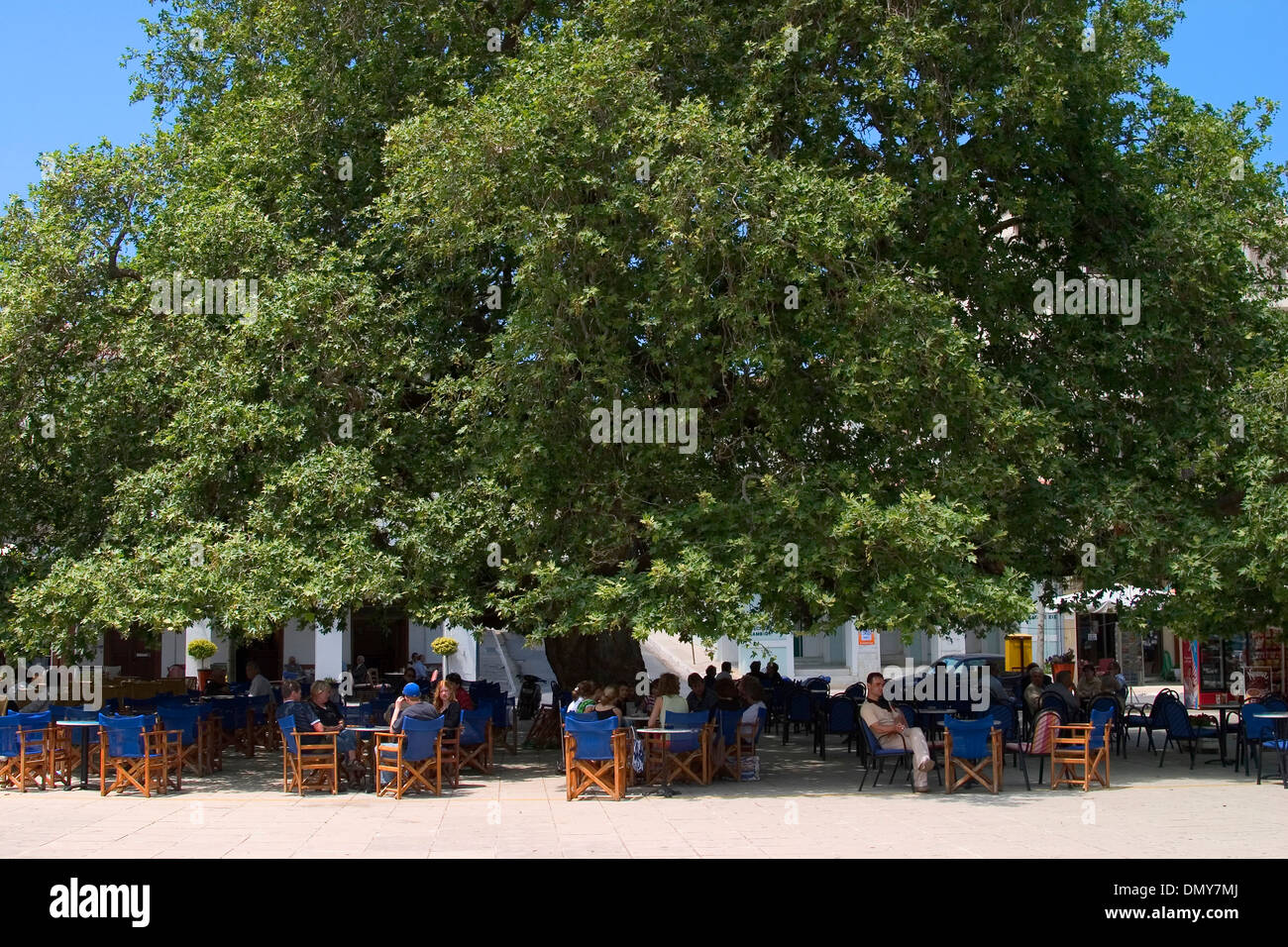 Europe, Greece, Peloponnese, Pylos, the square, a café under the oak ...
