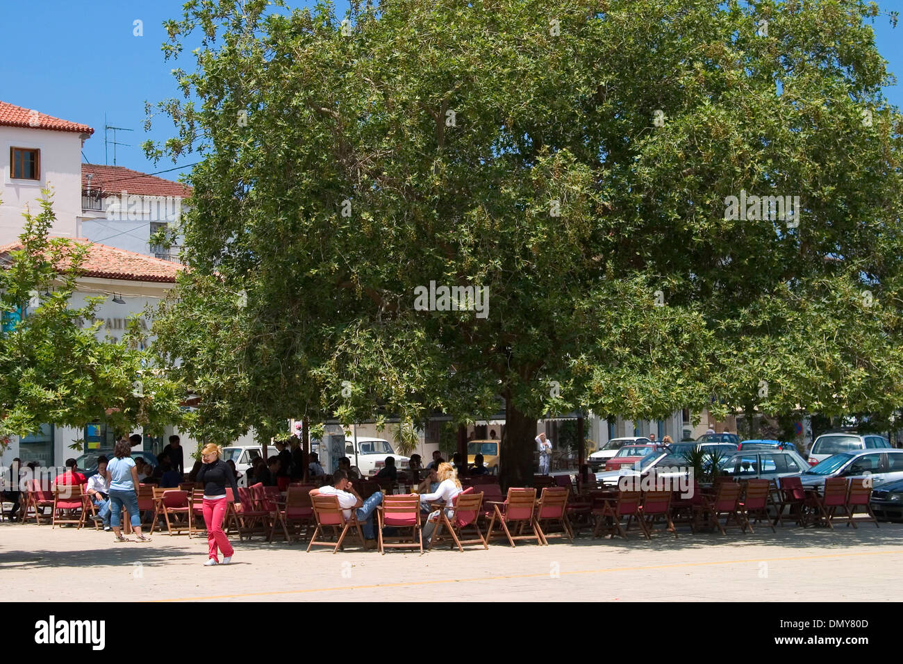 Europe, Greece, Peloponnese, Pylos, the square, a café under the oak ...