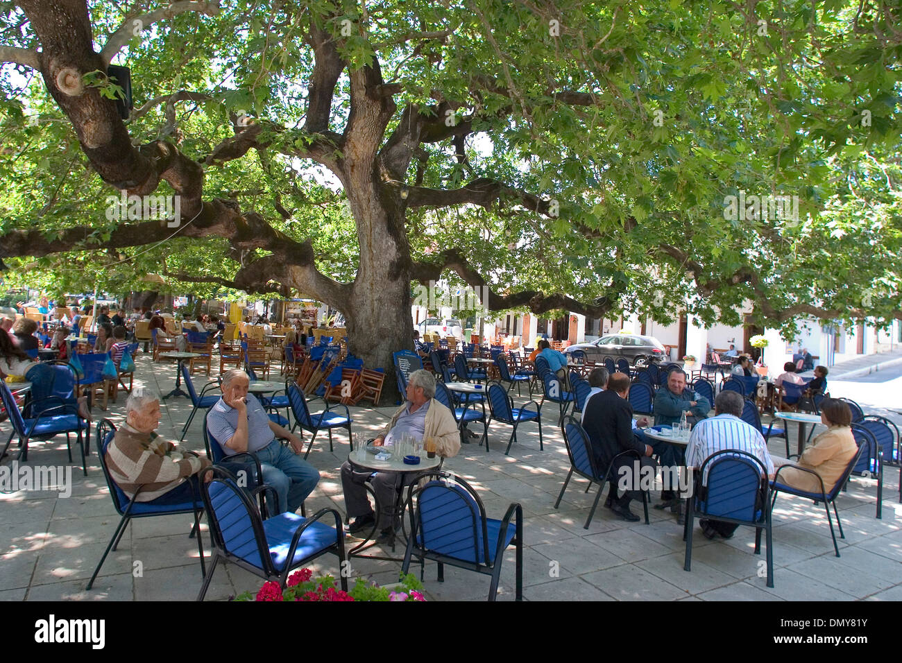 Europe, Greece, Peloponnese, Pylos, the square, a café under the oak ...