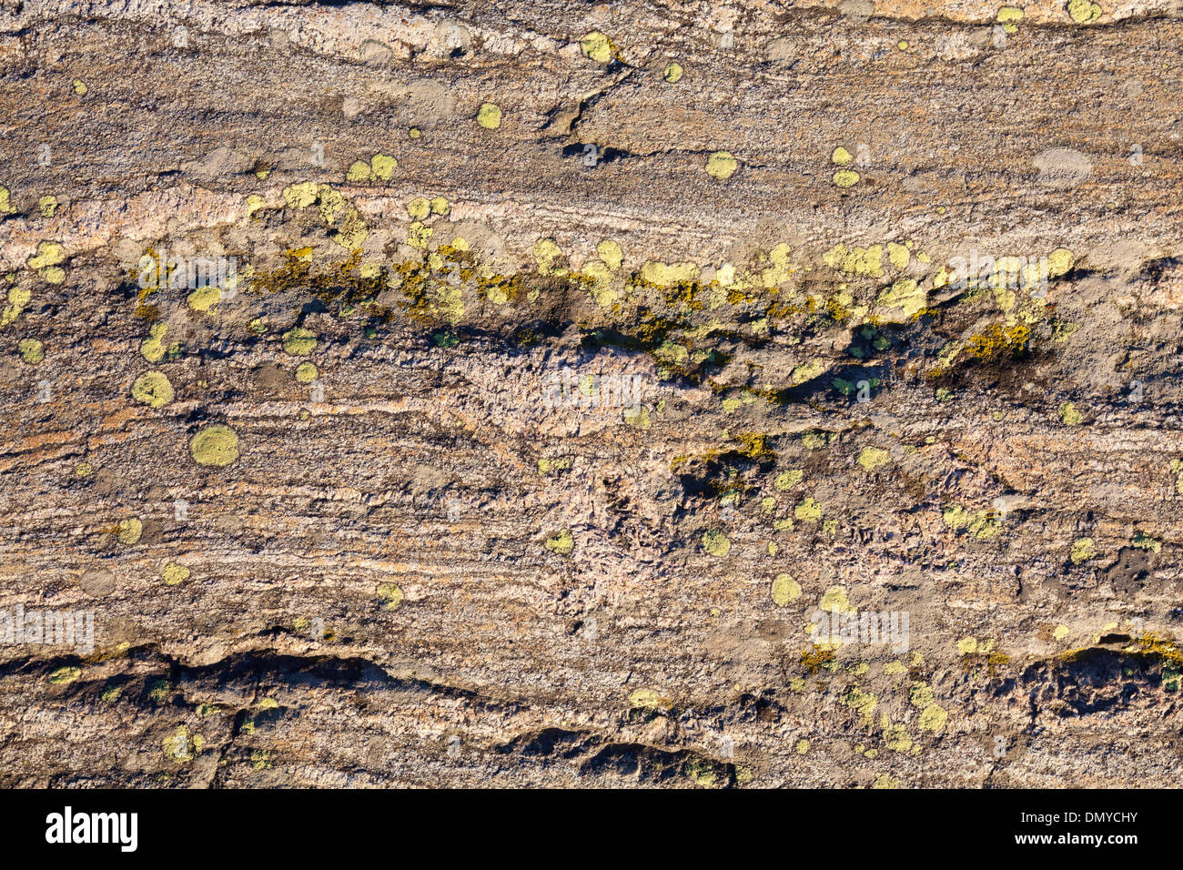 Surface forms hi-res stock photography and images - Alamy