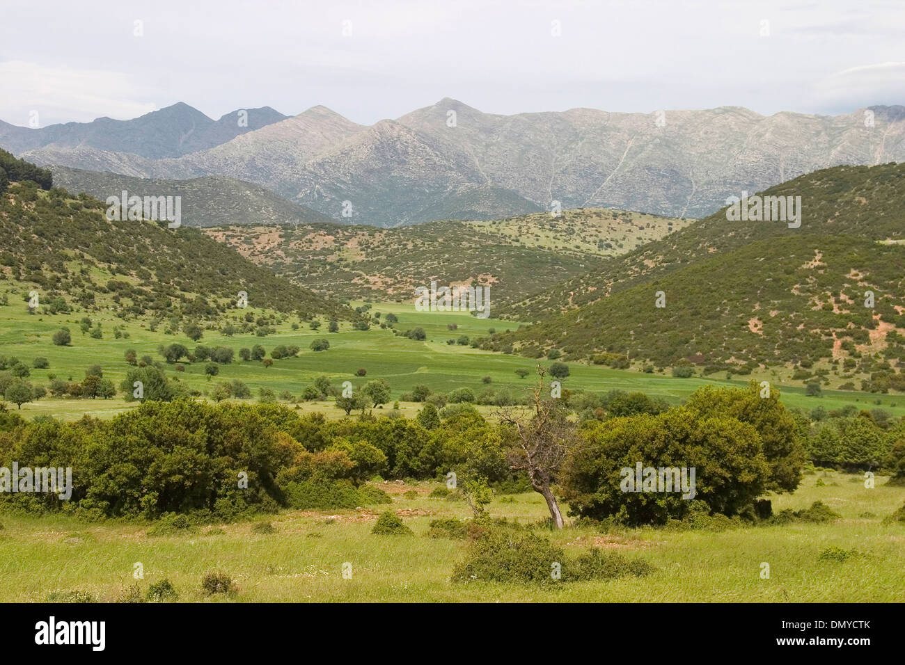 Europe, Greece, Peloponnese, landescape of the Arkadia region Stock ...