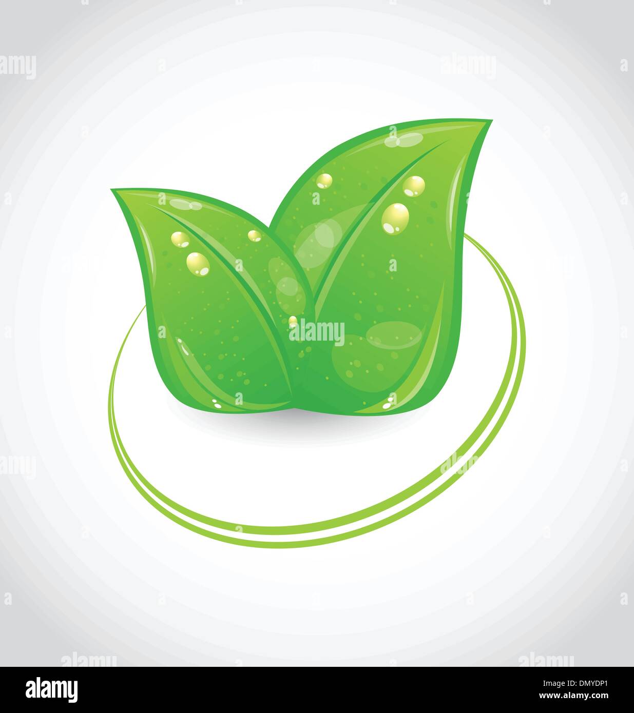 Eco green design symbol with leaves Stock Vector Image & Art - Alamy