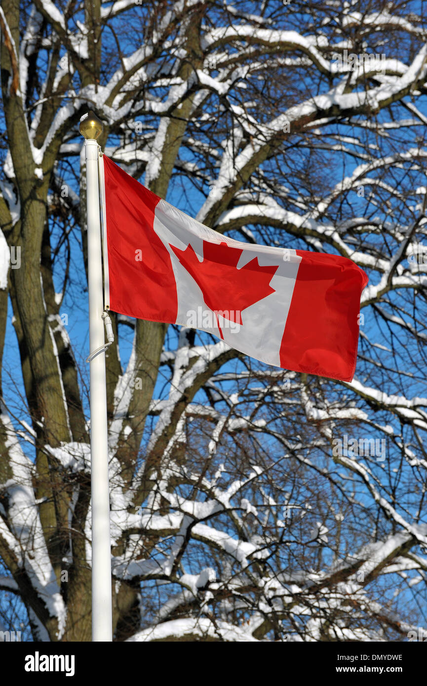 Canadian flag snow hi-res stock photography and images - Alamy