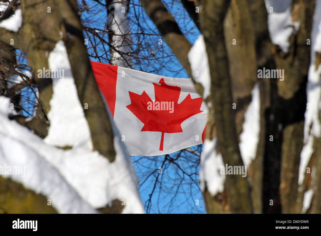 The Canadian flag in snowy surroundings Stock Photo - Alamy