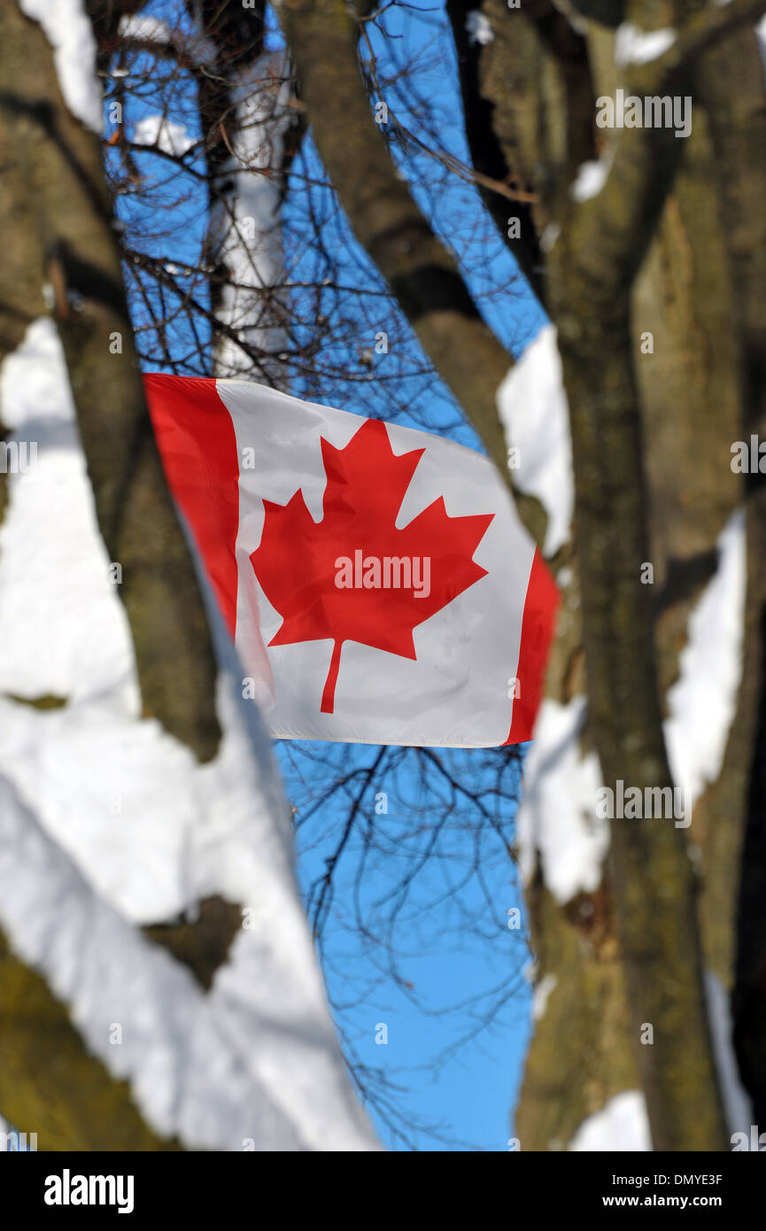 The Canadian flag in snowy surroundings Stock Photo - Alamy