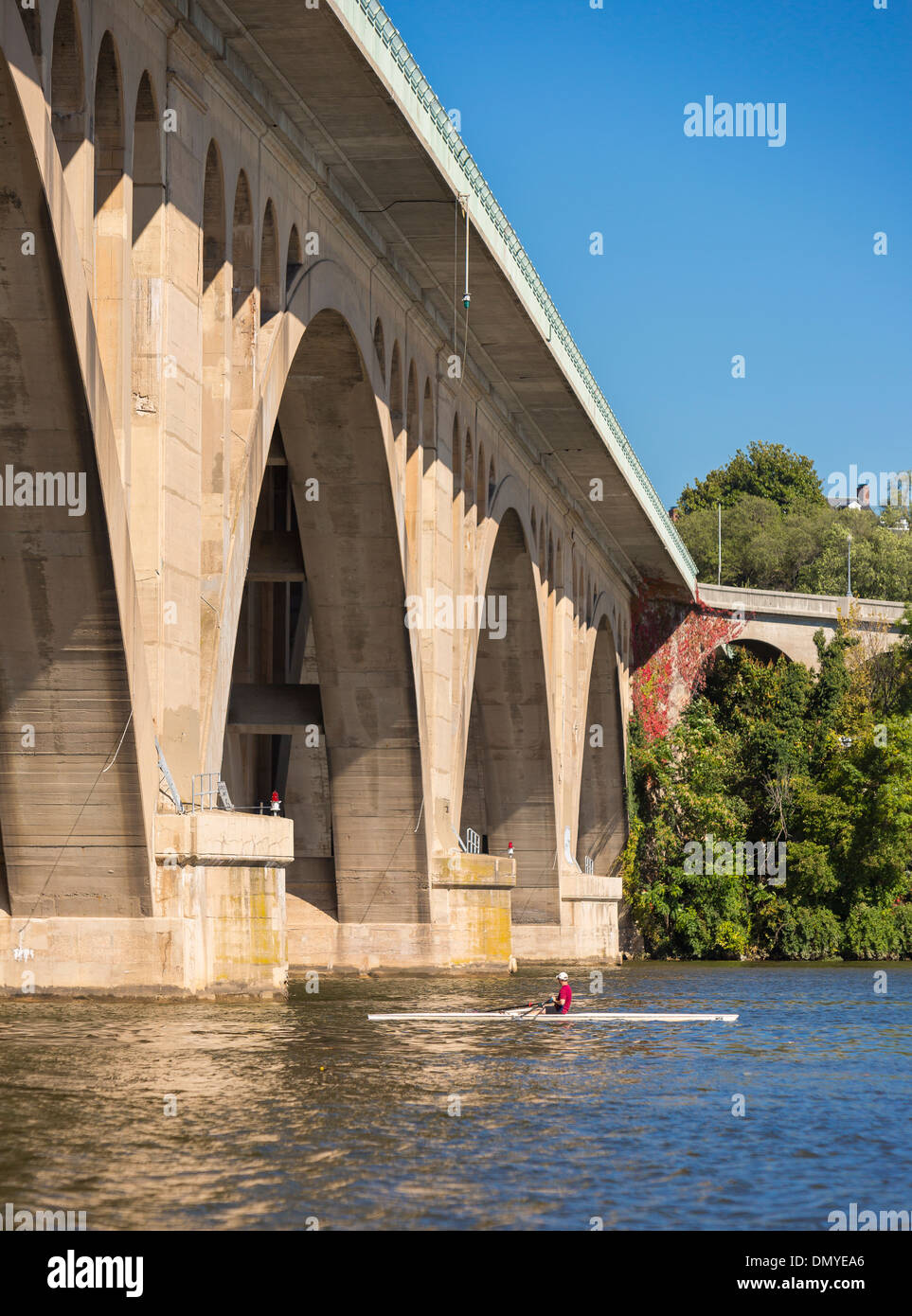 Sculling hi-res stock photography and images - Alamy