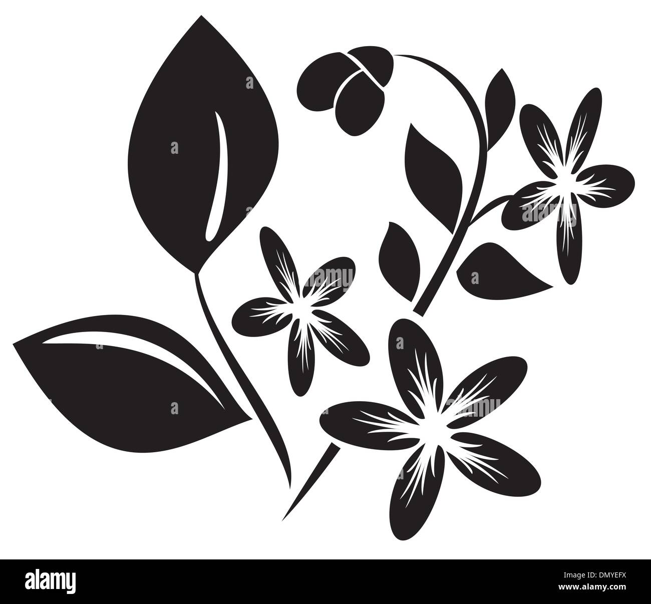 vector black element for design with flora Stock Vector Image & Art - Alamy