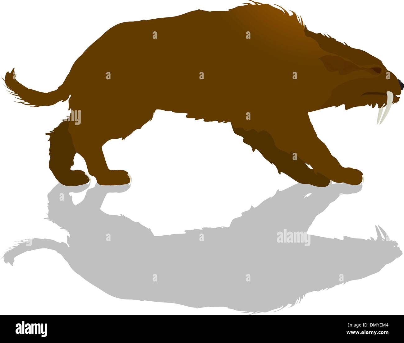 Sabretooth tiger hi-res stock photography and images - Alamy